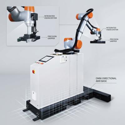 China Robotic Palletizer 180kg Payload 3100mm Reach IP54 Heavy Duty for Automatic Packaging Line for sale