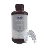 China Highly Pigmented Dental Modeling Resin for Realistic Dental Models for sale
