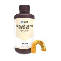 China Durable Permanent Crown Bridge Resin Long-Lasting Performance Service Life for sale
