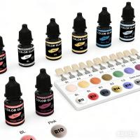 China Gum Color Matching For Dental Prosthetics Gum Shades Set With Base Color Blocking Extremely Simple To Operate Perfect For Accurate Dental Restorations for sale