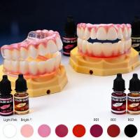 China Various Natural Gum Tones Gum Shades Set Resin Compatible Crowns Comprehensive Dental Restoration Components for sale