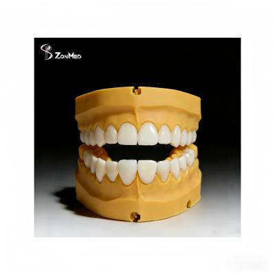 China Bleach color temporary protection after tooth preparation featuring water absorption rate 0.5 to 0.75 percent designed for dental restoration for sale