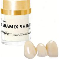 China Non toxic zirconia low firing glaze non fluorescent brush application formulated for safe and excellent ceramic surface appearance for sale