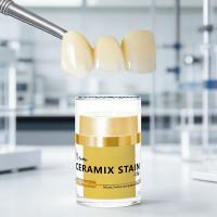China Compatible With Various Dental Ceramics Dental Stain and Glaze Multiple Shades Variable Opacity Options for Precise Customization for sale