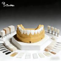 China Oily Base PolyFix Stain Dental Resin Stains Complete 20 Pieces Kit Suitable for Professional Dental Color Matching Needs for sale