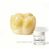 China Store In A Cool Place Ceramix Stain Dental Stain and Glaze Featuring Variable Opacity Options for Precise Color Matching for sale