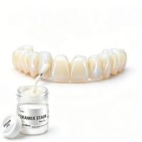 China Ceramic Stain Dental Stain and Glaze Non toxic Variable Opacity Options Designed for Accurate Dental Prosthetic Coloring for sale