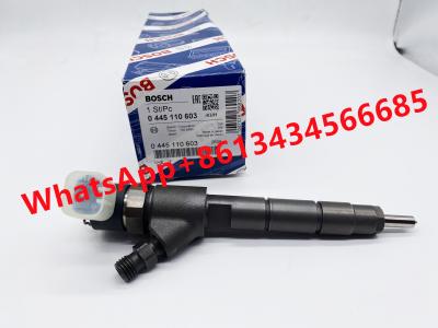 China 0 445 110 603 Diesel Fuel Injection Assembly 32R61-10010 0445110603 For Sany for sale