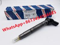 China 0445116017 Bosch Diesel Common Rail Injector 0445116018 33800-2F000 for sale