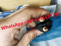 China F00RJ02130  DSLA128P1510  Common Rail Injector  PC200-8 0445120231 for sale