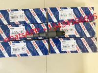 China Hot Selling New Injector 0445120469 0445120067 0986435549 For  4290987 20798683 7420798683 961204640054 04290987KZ for sale