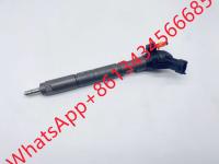 China High Quality Fuel Injection 0445116059 Common Rail Fuel Injector For car for sale