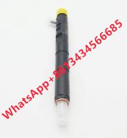 China Ejbr04101d  Fuel Injector Ejbr02101z 8200049876 166003978r Common Rail for sale