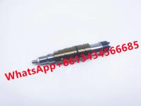 China XPI 2057401 Common Rail Injector 2036181 2031835 574423 1933612 575176 DC13115 DC13124 DC13125 for sale