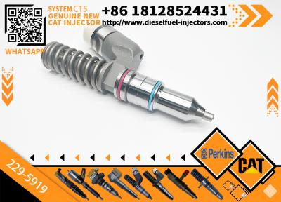 China Excavator Injector 10R1000 10R-1000 2295919 229-5919 For C15 Engine Parts Diesel Nozzle Assembly for sale