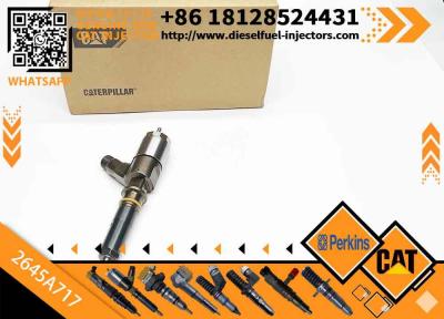 China New Diesel Common Rail Fuel Injector 317-2300 3172300 2645A717 for C4/C6 engine in stock for sale