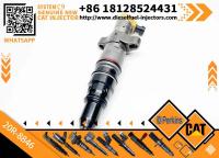 China Diesel Fuel Injector C9 HEUI Injector 573-4231 20R-8846 5734231 20R8846 for Caterpillar C9 Engines 3879432 330D 336D for sale
