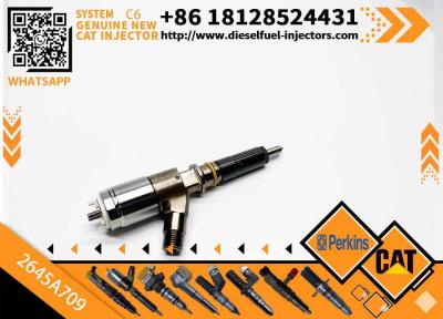 China Fuel Injector 282-0490 2645A709 2820490 2645A709 for C-AT C6.6 Engine for sale