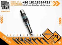 China Rail Fuel Injector 20R-5036 20R-5077 20R-5079 20R-5075 20R-5073 456-3493 460-8213 456-3544 for sale