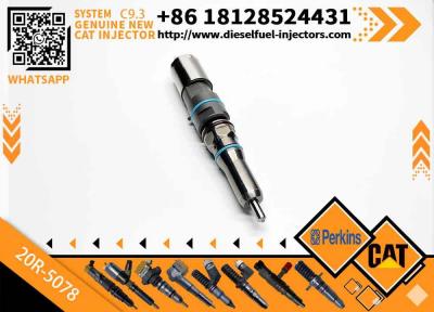 China Engine Fuel Injector Gp-Fuel 456-3545 4563545 20R5078 20R-5078 for Caterpillar Excavator for sale