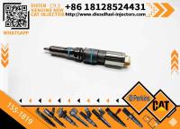 China Excavator Parts 20r5036 20r-5036 C9.3 Injector 456-3493 155-1819 for 336e for sale