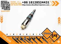 China High Quality 0R-9349 171-9704 173-9268diesel Fuel Injectors 232-1171 232-1168 222-5966 169-7408 for sale