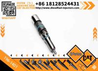 China High Quality 196-1401 173-9379 0R-9349 171-9704 173-9268 173-9272 diesel Fuel Injectors 232-1171 232-1168 222-5966 169-7408 for sale