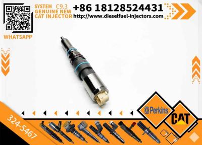 China New Common Rail Fuel Injector 304-3637 324-5467 342-5487 382-0709 392-9046 417-3013 Compatible with C9.3 for sale