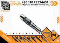 China Engine Injector 20R5036 20R-5036 4563493 456-3493 3674293 367-4293 363-0493 3630493 3452193 345-2193 for sale
