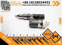 China Fuel Injector 203-7685 212-3463 10R9235 10R0963 2037685 High Quality Excavator Injector C10 C12 3176C Engine Repair Parts for sale