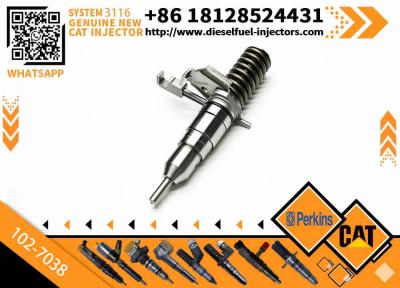 China Best Quality Excavator Parts Diesel Fuel Injector 102-7038 1027038 for CAT Engine 3116 for sale