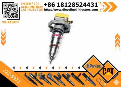 China Common Rail Diesel Fuel Injector 222-5972 2225972 for Engine 3216 3216B for sale