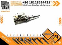China Diesel Engine Fuel Pump Injector 20R-3483 20R3483 for Engine 3512C/3516C for sale