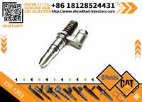 China High Quality Auto Parts Common Rail Fuel Injector 250-1303 2501303 for sale