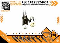 China Fuel Injector 250-1308 10R-1280 for 3512B/3516B Engine for sale