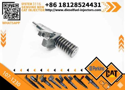China High Quality Common Rail Fuel Injector 102-7038 105-1694 107-1230 for C-aterpillar Sprayer Excavator 3116 for sale