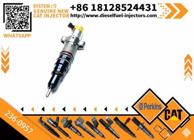 China Fuel Injector 236-0957 10R-9002 for CAT C9 Engine 2360957 for sale