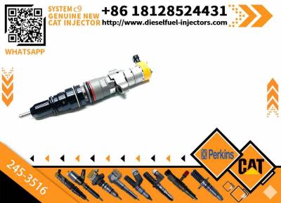 China Common Rail Fuel Injector 245-3516 2453516 for C9 engine in stock for sale