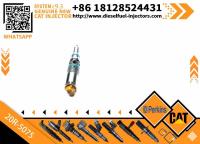 China Fuel Injector 460-8213 20R-5075 20R5036 456-3509 456-3493 for C9.3 for sale
