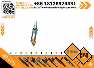 China Fuel Injector 460-8213 20R-5075 20R5036 456-3509 456-3493 for C9.3 for sale