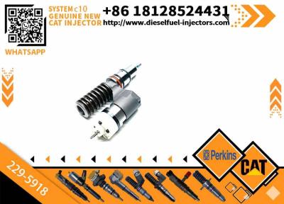 China High-Quality 229-5918 Eui Diesel Fuel Injector 2295918 Suitable for C12 Engine for sale