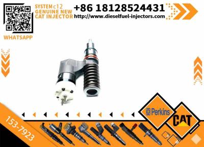 China Diesel Fuel Injector 153-7923 1537923 0R9595 0R-9595 for for sale