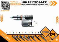 China Excavator Fuel Injector 212-3462 10r-0967 2123462 for for sale