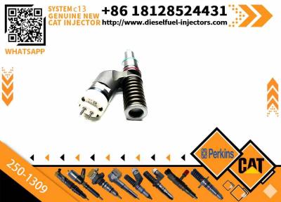 China Fuel Injector 250-1309 10R-3258 2501309 10R3258 for C13 Engine for sale