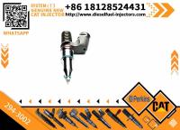 China Diesel Injector 294-3002 Remanufactured Injector 2943002 for sale