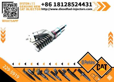 China High Quality Diesel Fuel Injector Assembly 2295919 229-5919 10R-1000 10R1000 for for sale