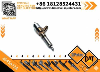 China Excavator Injector 2645A718 2645A734 2645A747 for for sale