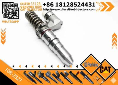 China New Common Rail Injector 10R-2827 20R3483 20R-3247 389-1969 379-0509 386-1771 10R-3255 for diesel Engine CAT for sale