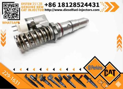 China Excavator Parts 3512B Diesel Engine New Fuel Injector 204-2067 229-1631 245-8272 246-1854 250-1311 for Excavator for sale