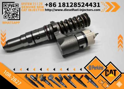China New Common Rail Injector 10R-2827 20R3483 20R-3247 389-1969 379-0509 386-1771 10R-3255 for diesel Engine CAT for sale